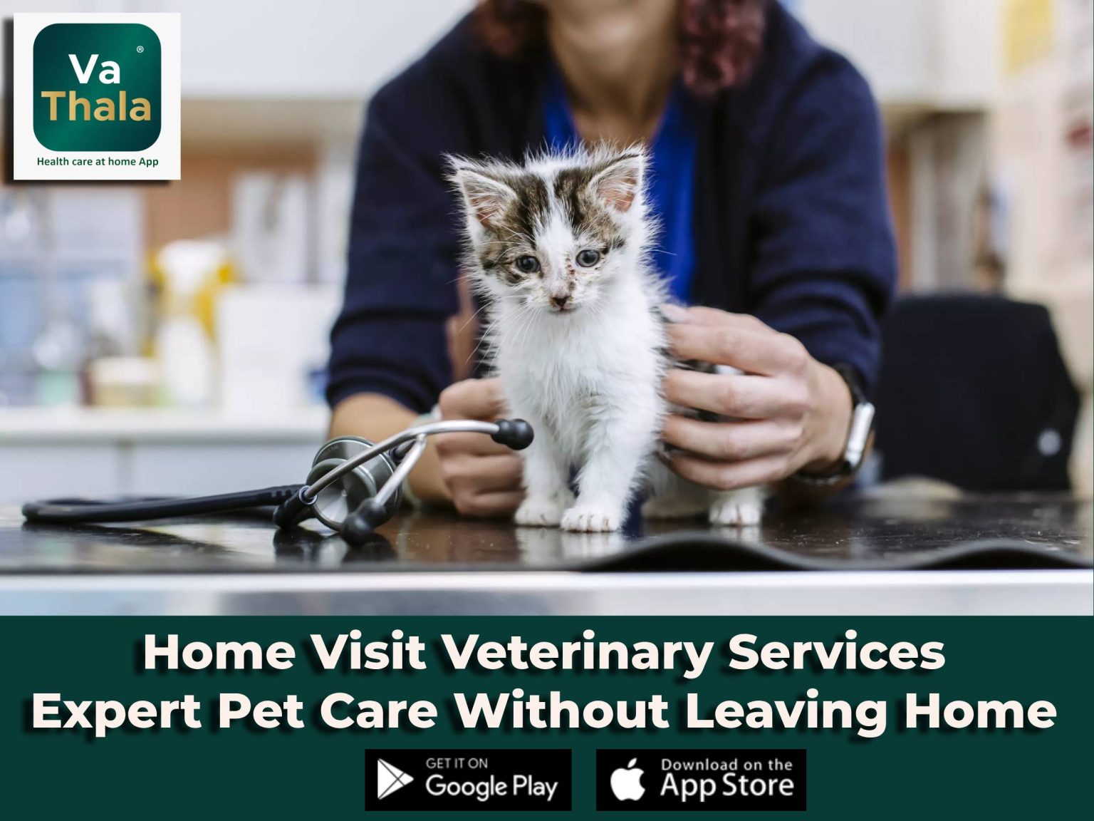 Home Visit Veterinary Services – Expert Pet Care Without Leaving Home ...